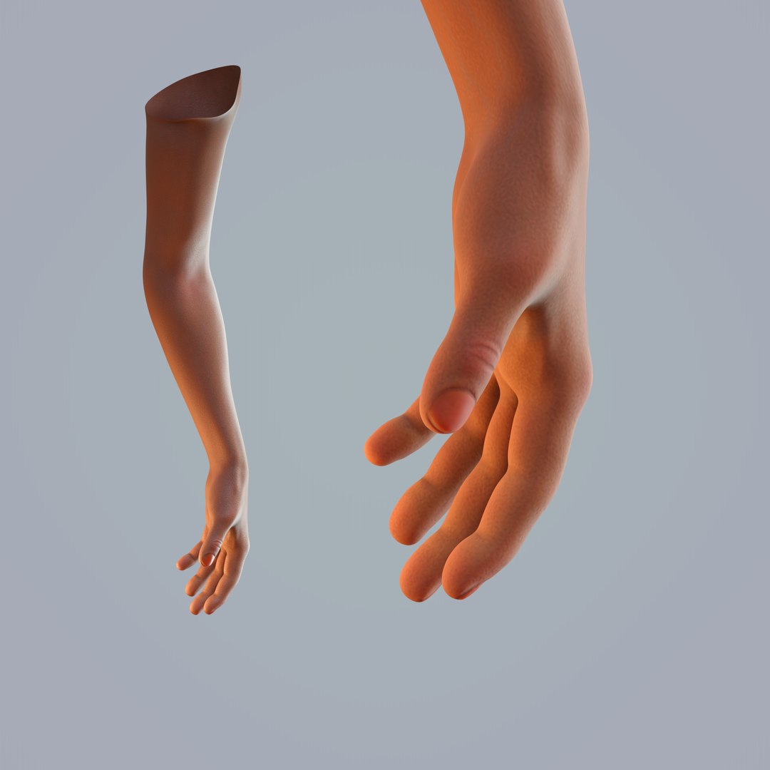 Hand Skin 3D Model - TurboSquid 1610423
