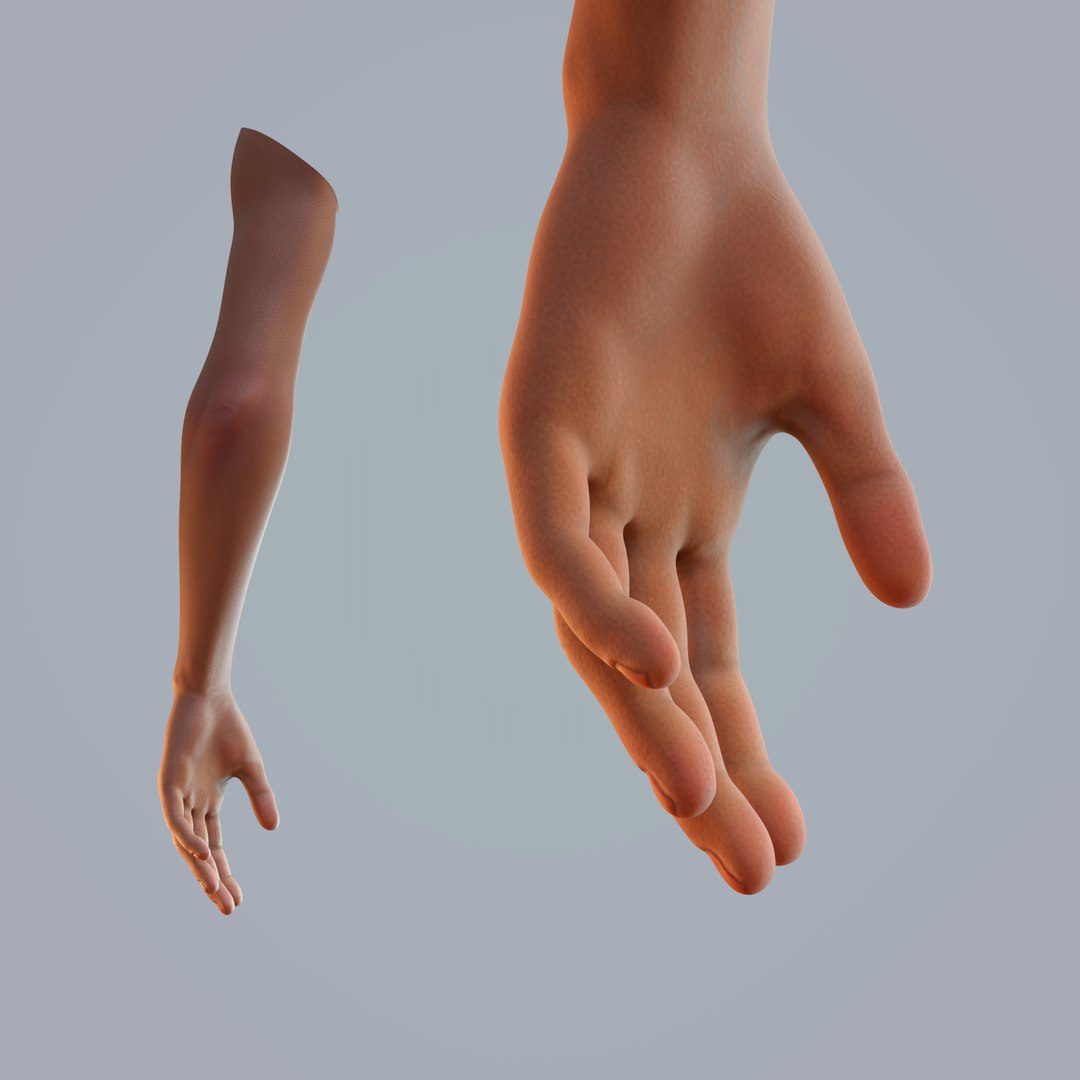 Hand Skin 3D Model - TurboSquid 1610423