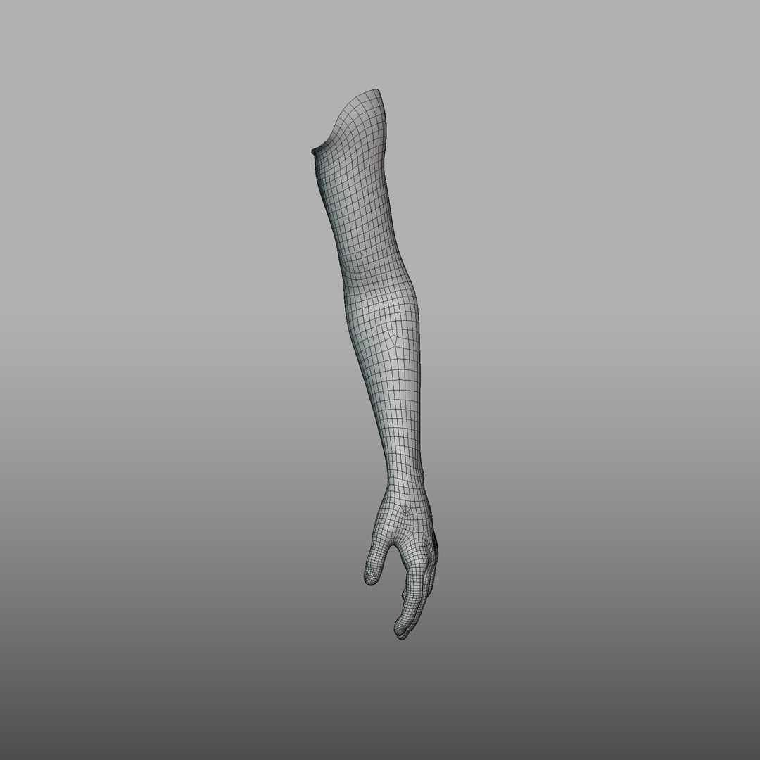 Hand Skin 3D Model - TurboSquid 1610423
