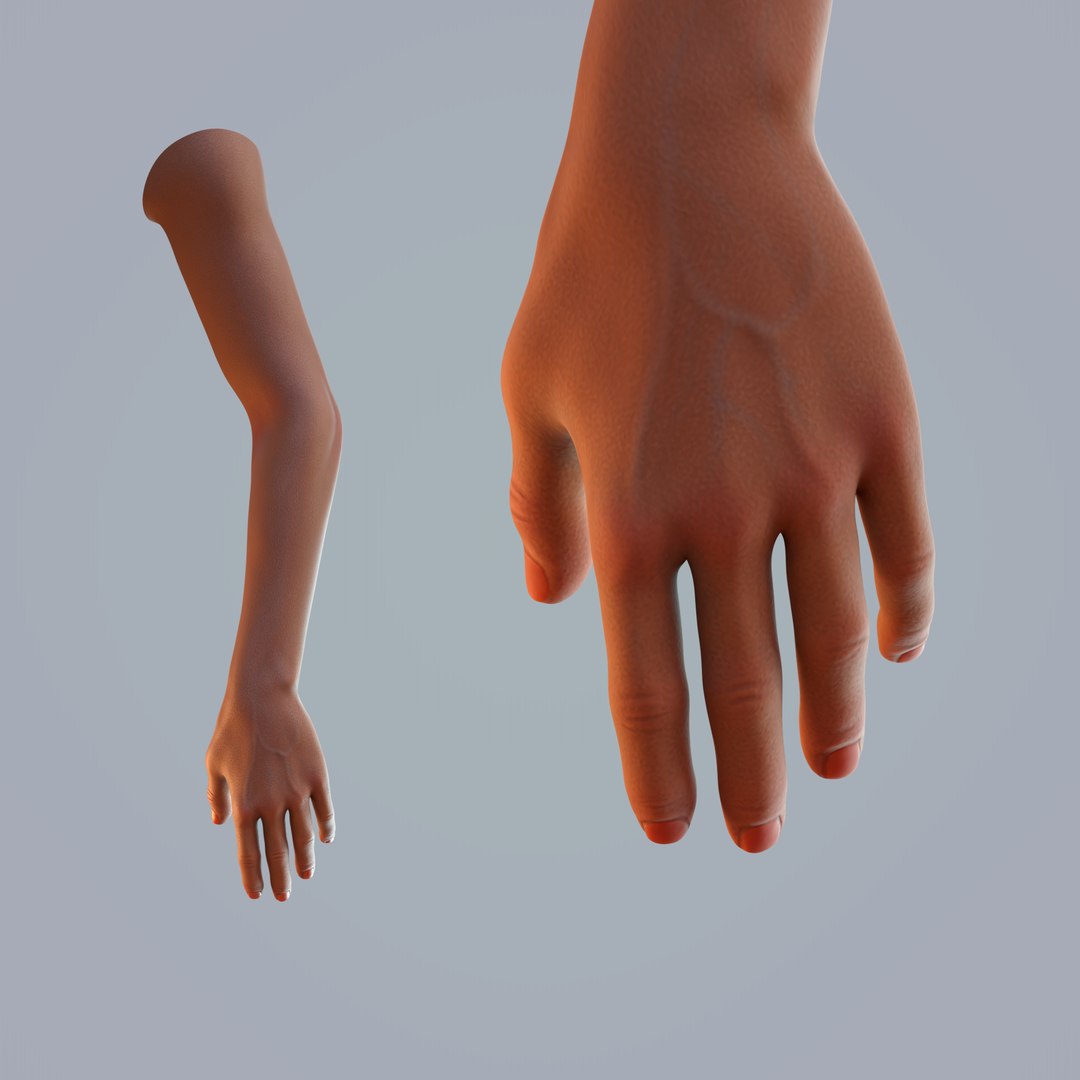 Hand Skin 3D Model - TurboSquid 1610423