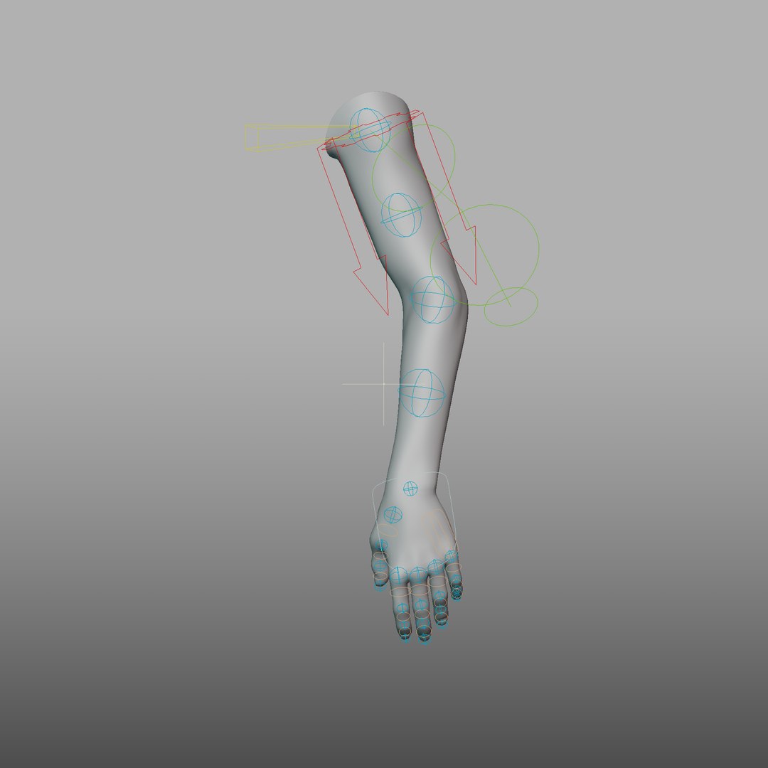 Hand Skin 3D Model - TurboSquid 1610423