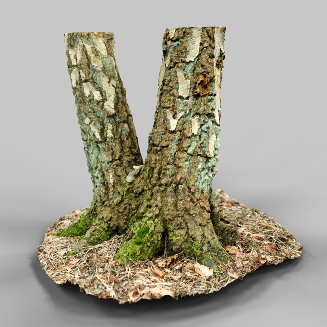 3d model environment asset photoscanned