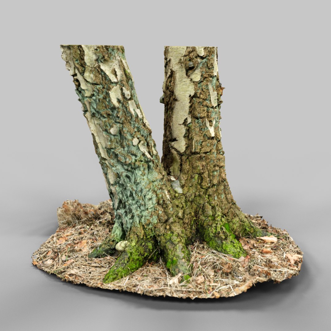 3d model environment asset photoscanned