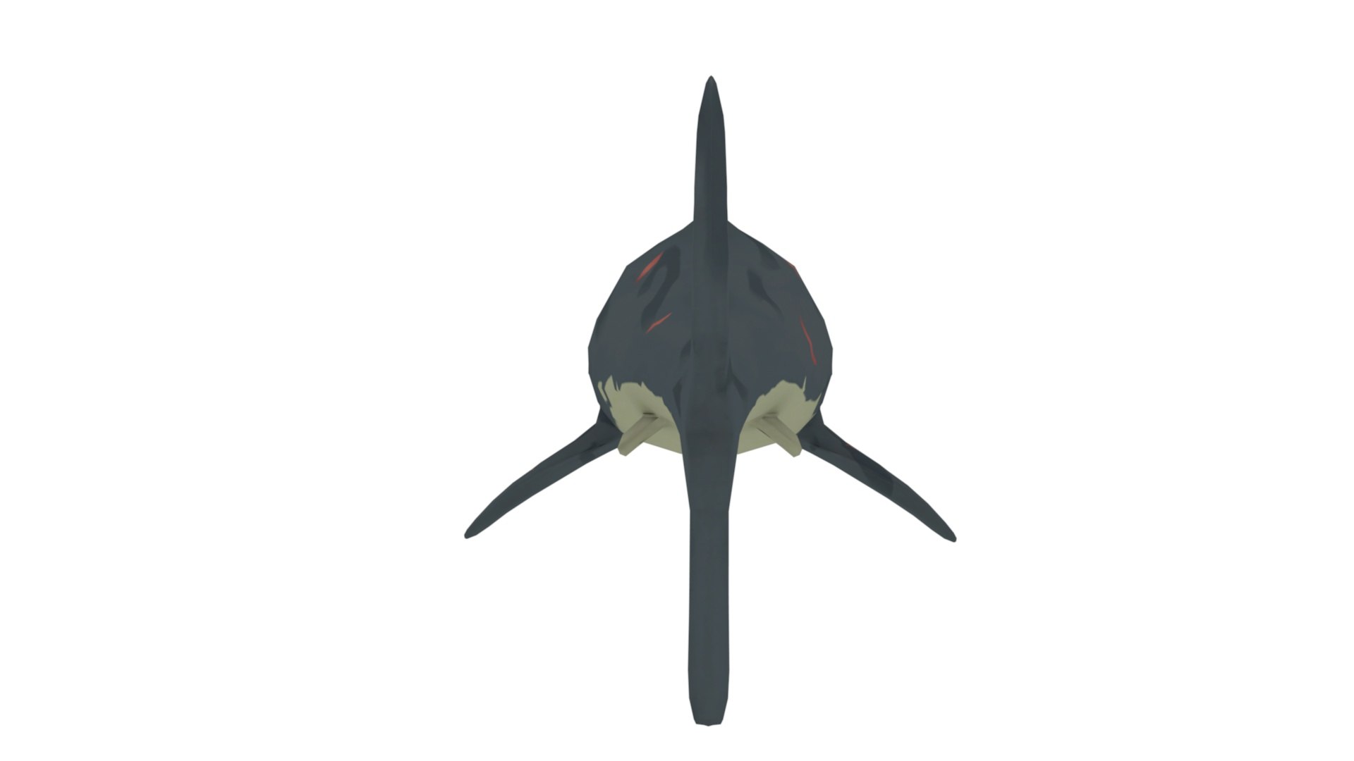 Shark Model - TurboSquid 1953898
