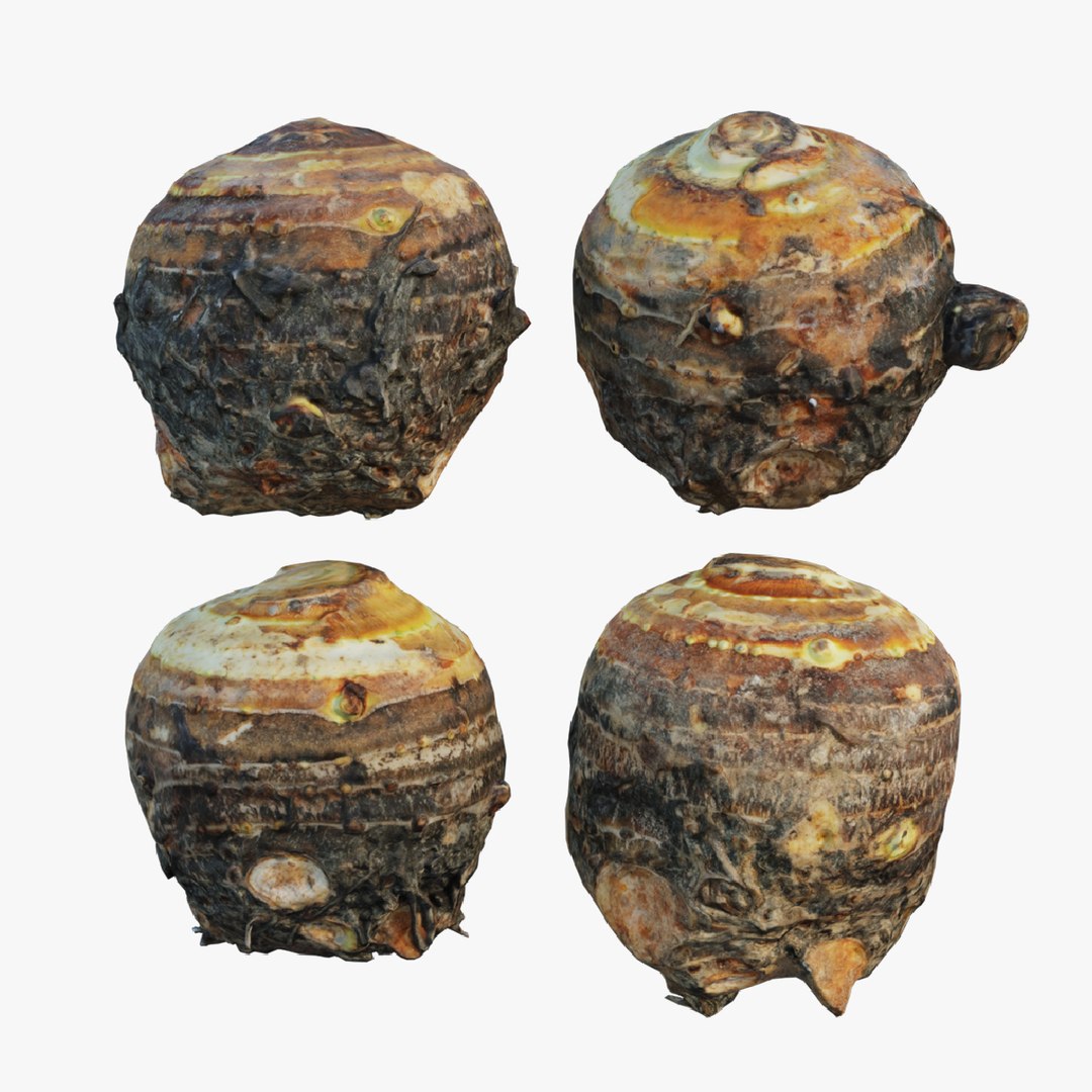 3D Taro 06 - TurboSquid 1941989