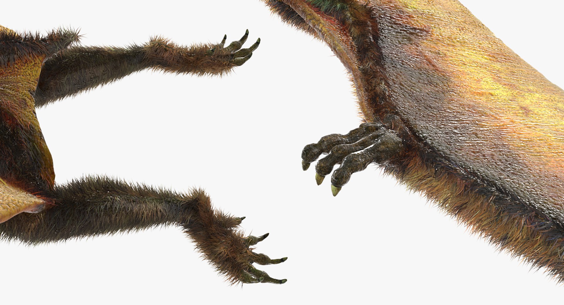 Pteranodon Flying Carnivorous Reptile Model - TurboSquid 1385301