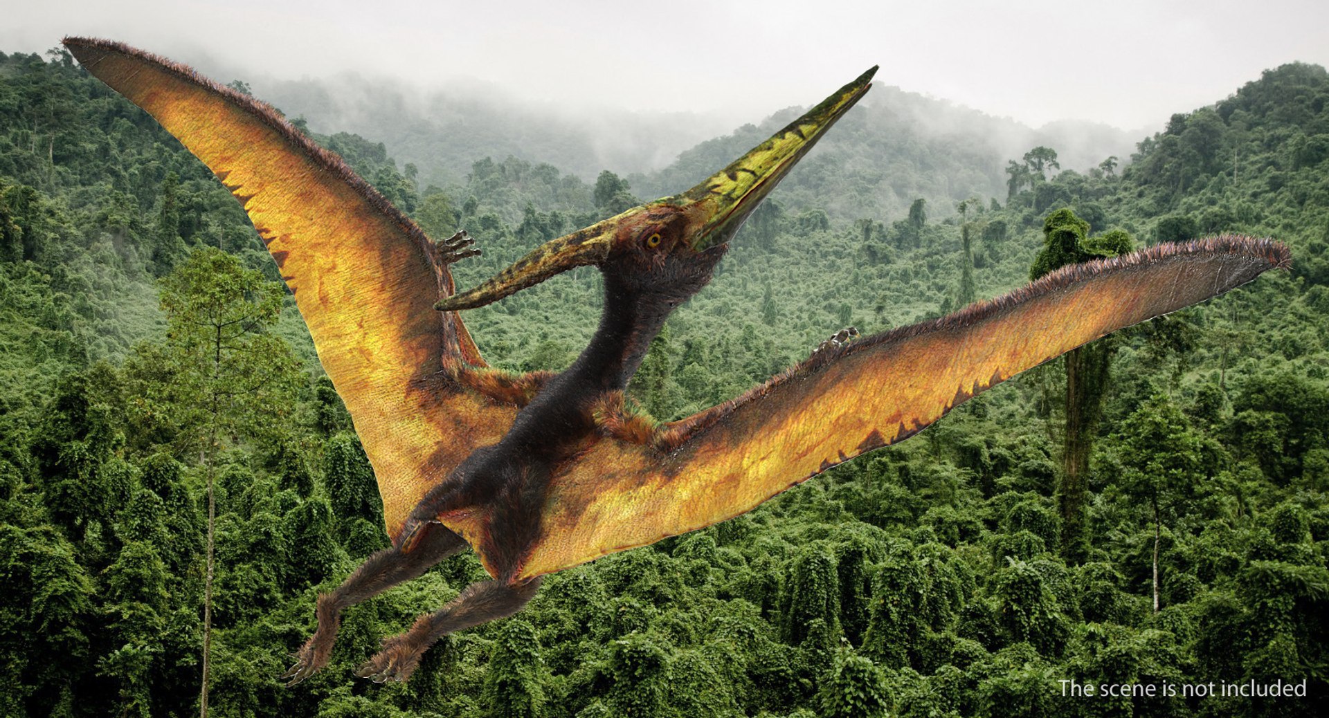 Pteranodon Flying Carnivorous Reptile Model - TurboSquid 1385301