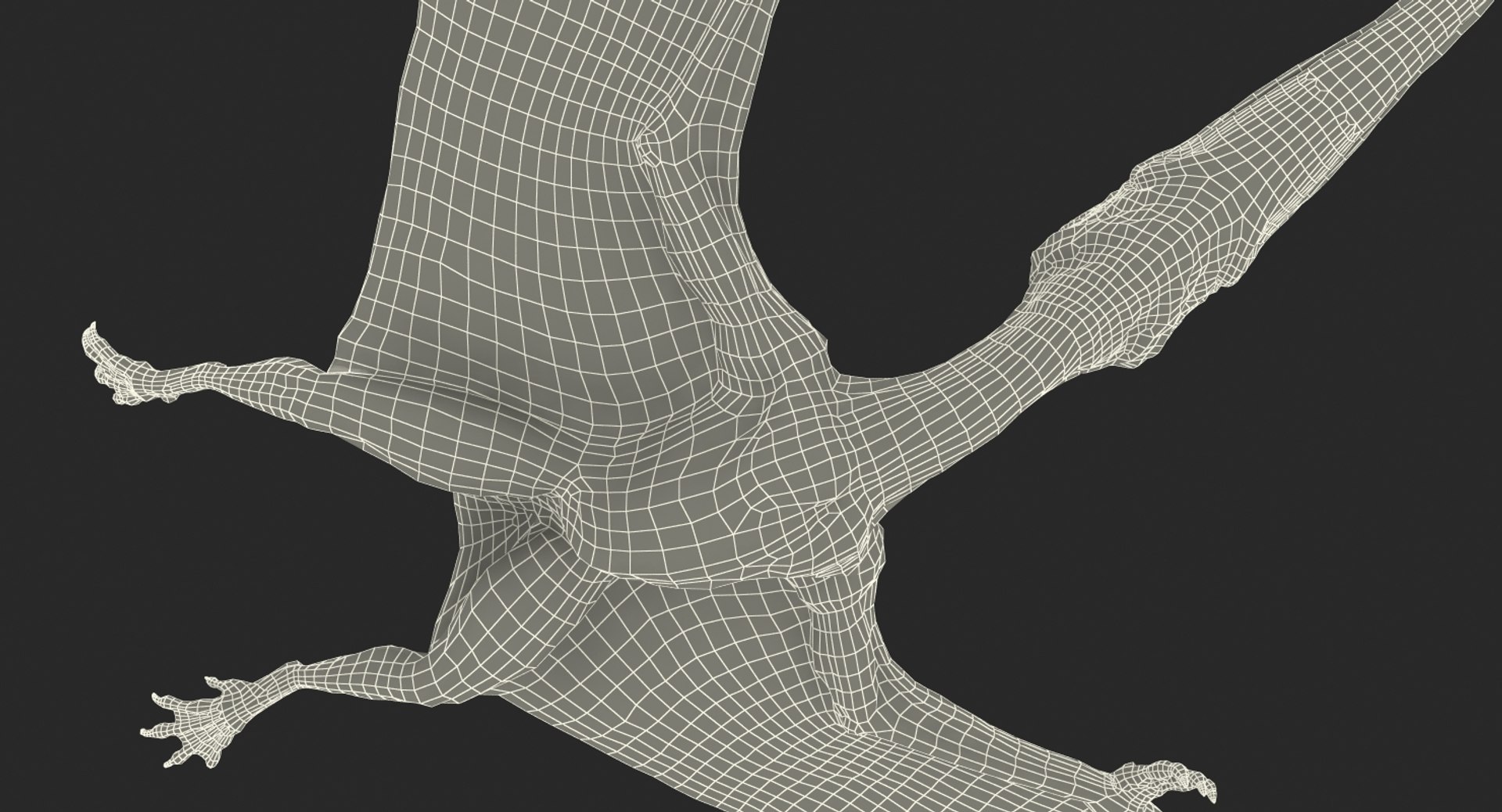 Pteranodon Flying Carnivorous Reptile Model - TurboSquid 1385301