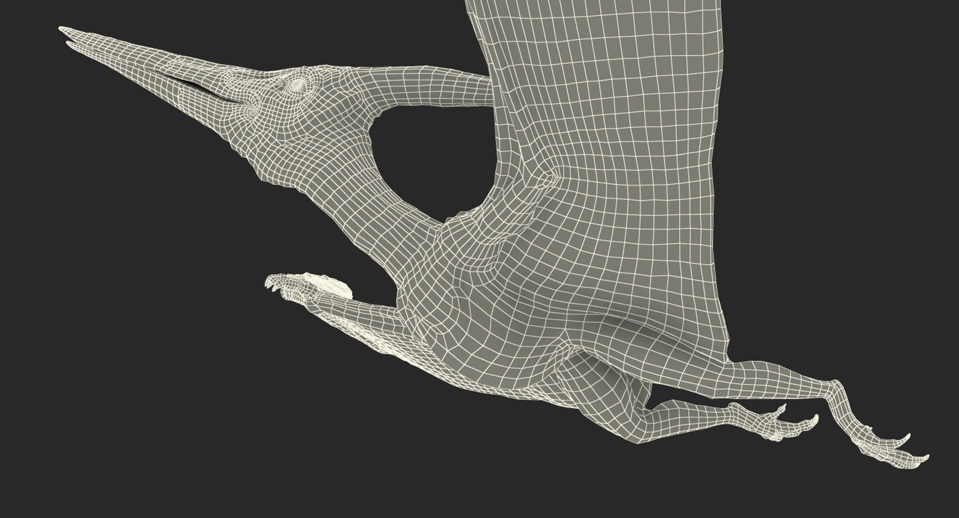 Pteranodon Flying Carnivorous Reptile Model - TurboSquid 1385301