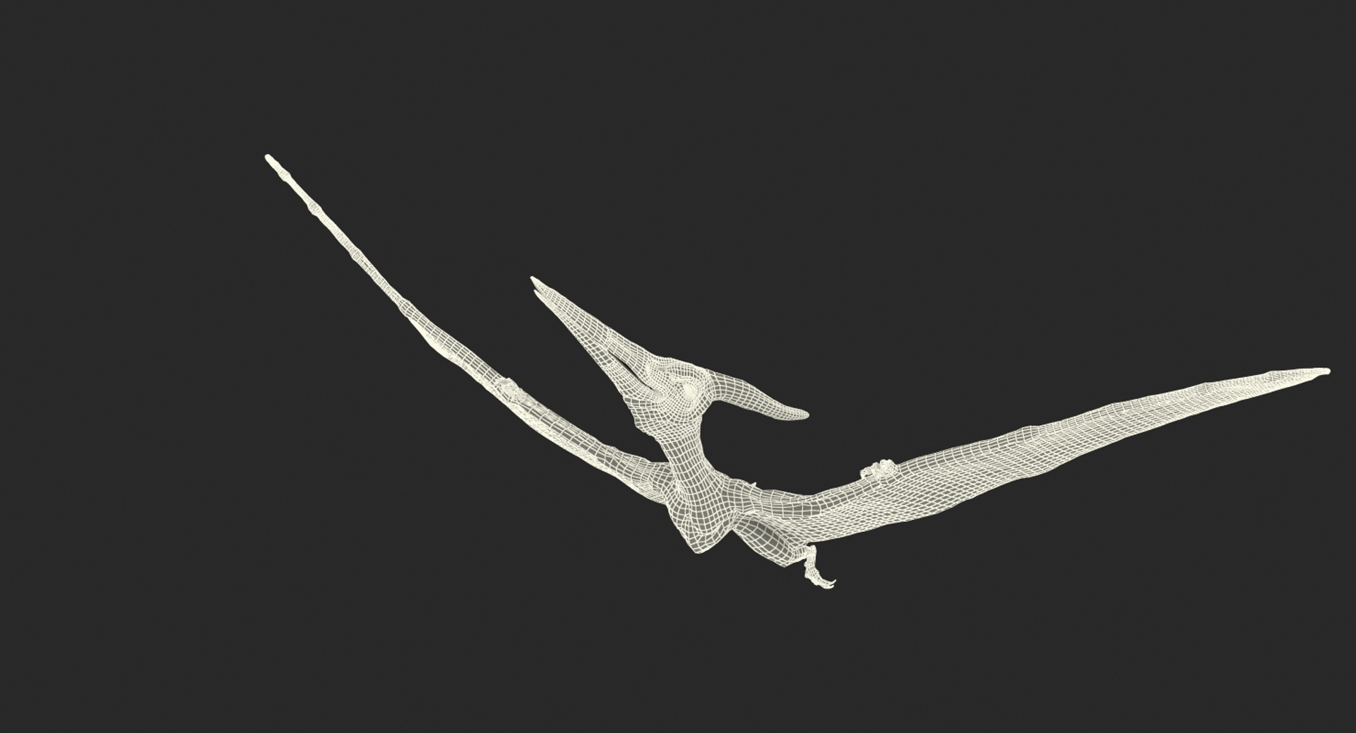 Pteranodon Flying Carnivorous Reptile Model - TurboSquid 1385301