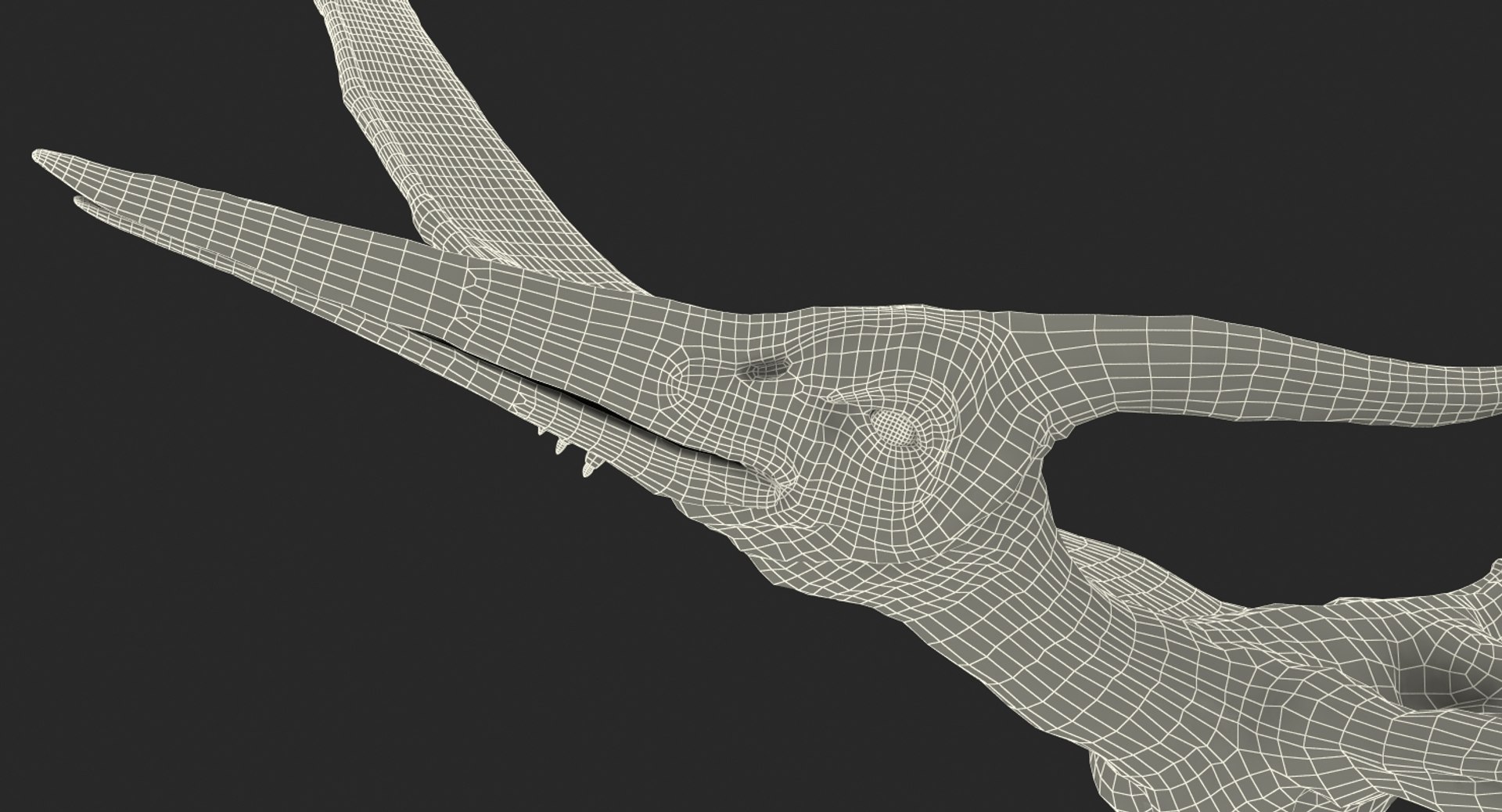 Pteranodon Flying Carnivorous Reptile Model - TurboSquid 1385301