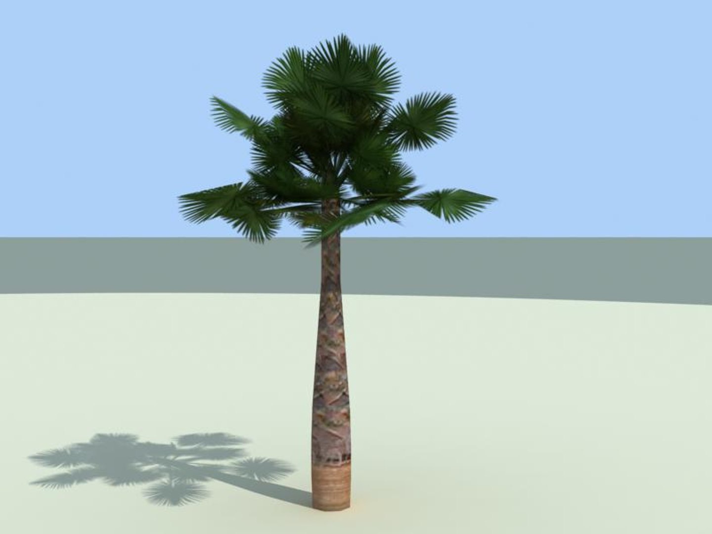3d Model Palm Tree