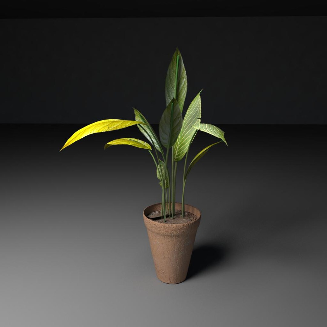 3d Model Of Plant