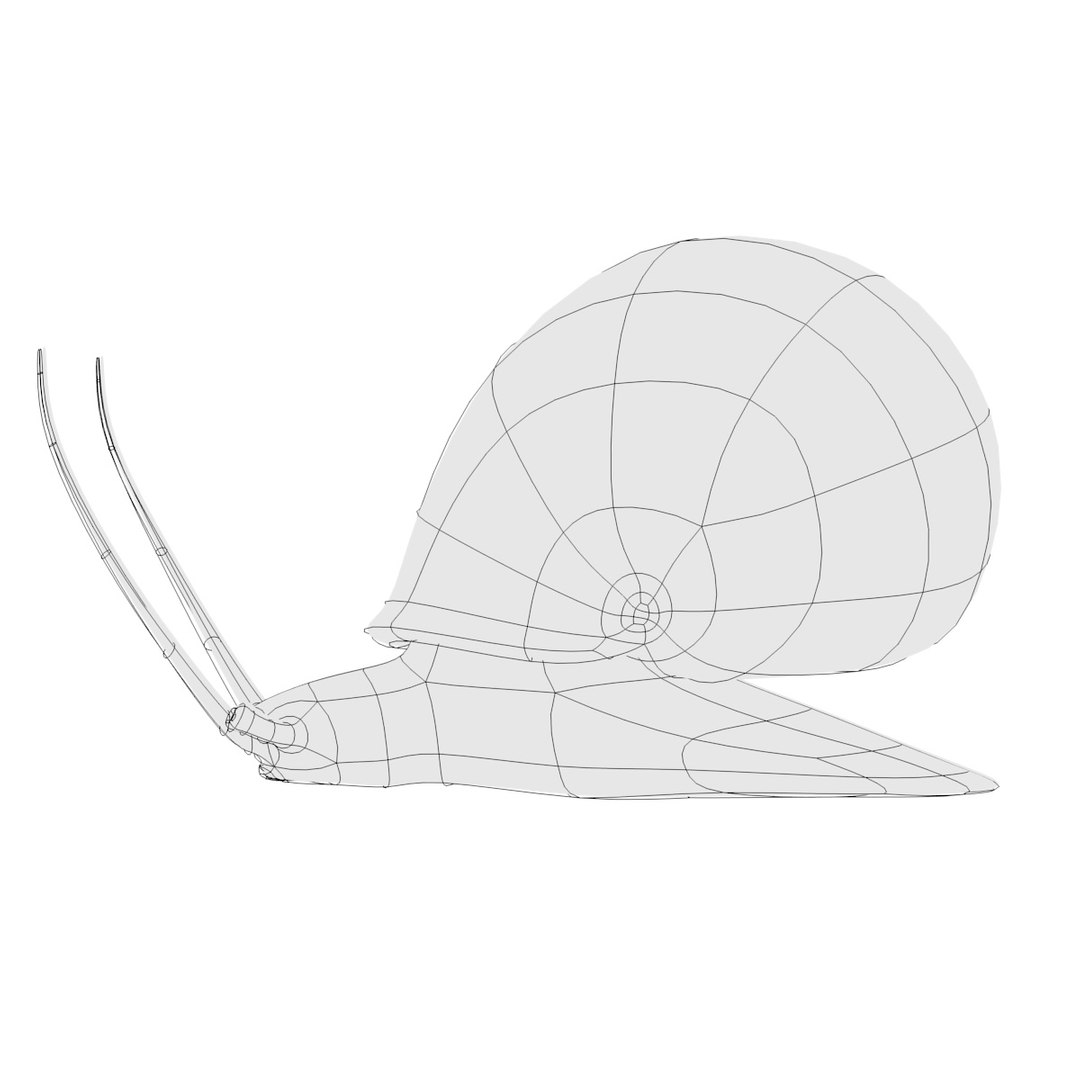 aquarium decoration snail 3d model