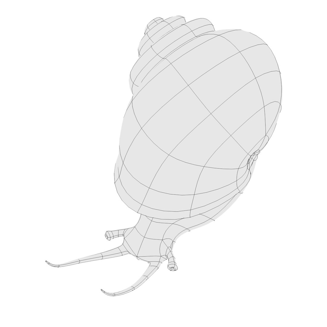 aquarium decoration snail 3d model