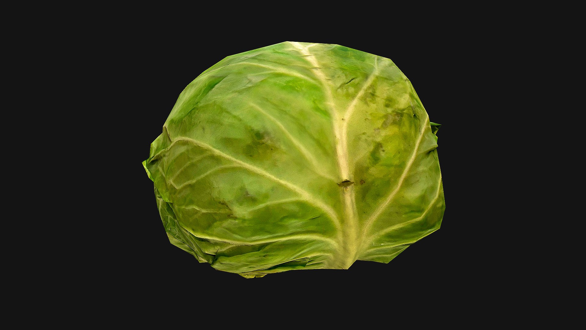 Cabbage 3D Model - TurboSquid 1924945