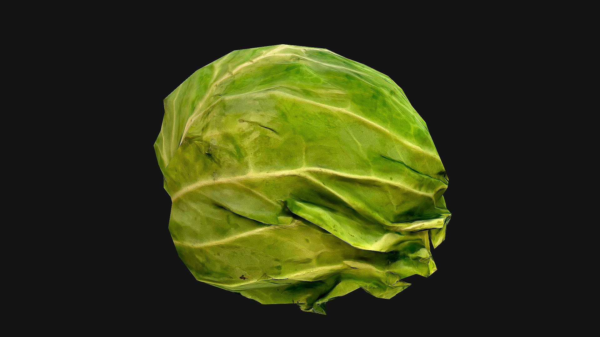 Cabbage 3D Model - TurboSquid 1924945