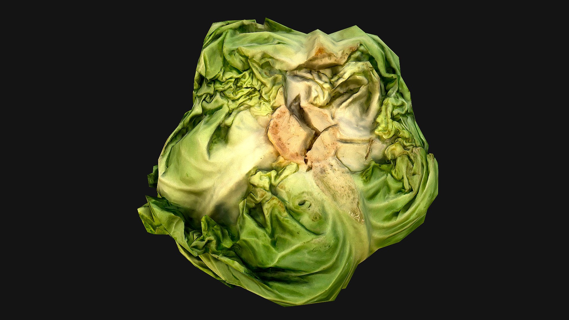 Cabbage 3D Model - TurboSquid 1924945