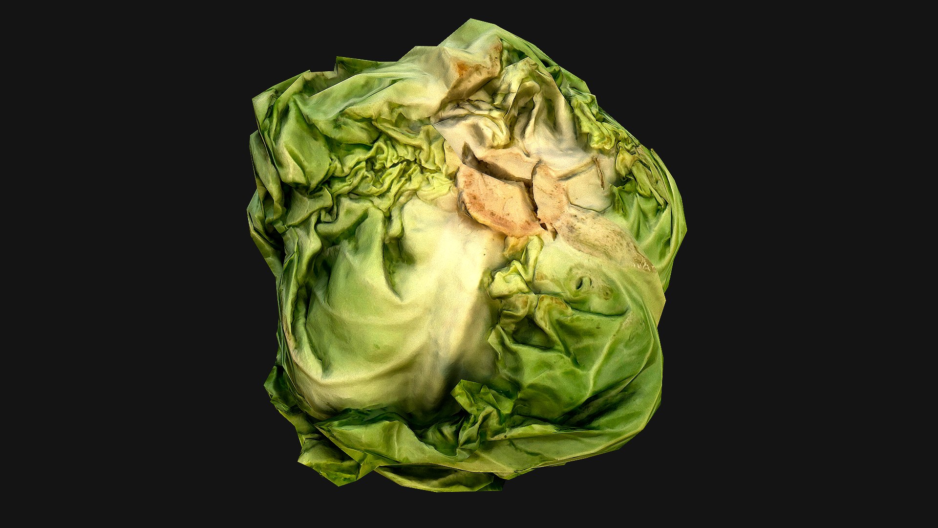 Cabbage 3D Model - TurboSquid 1924945