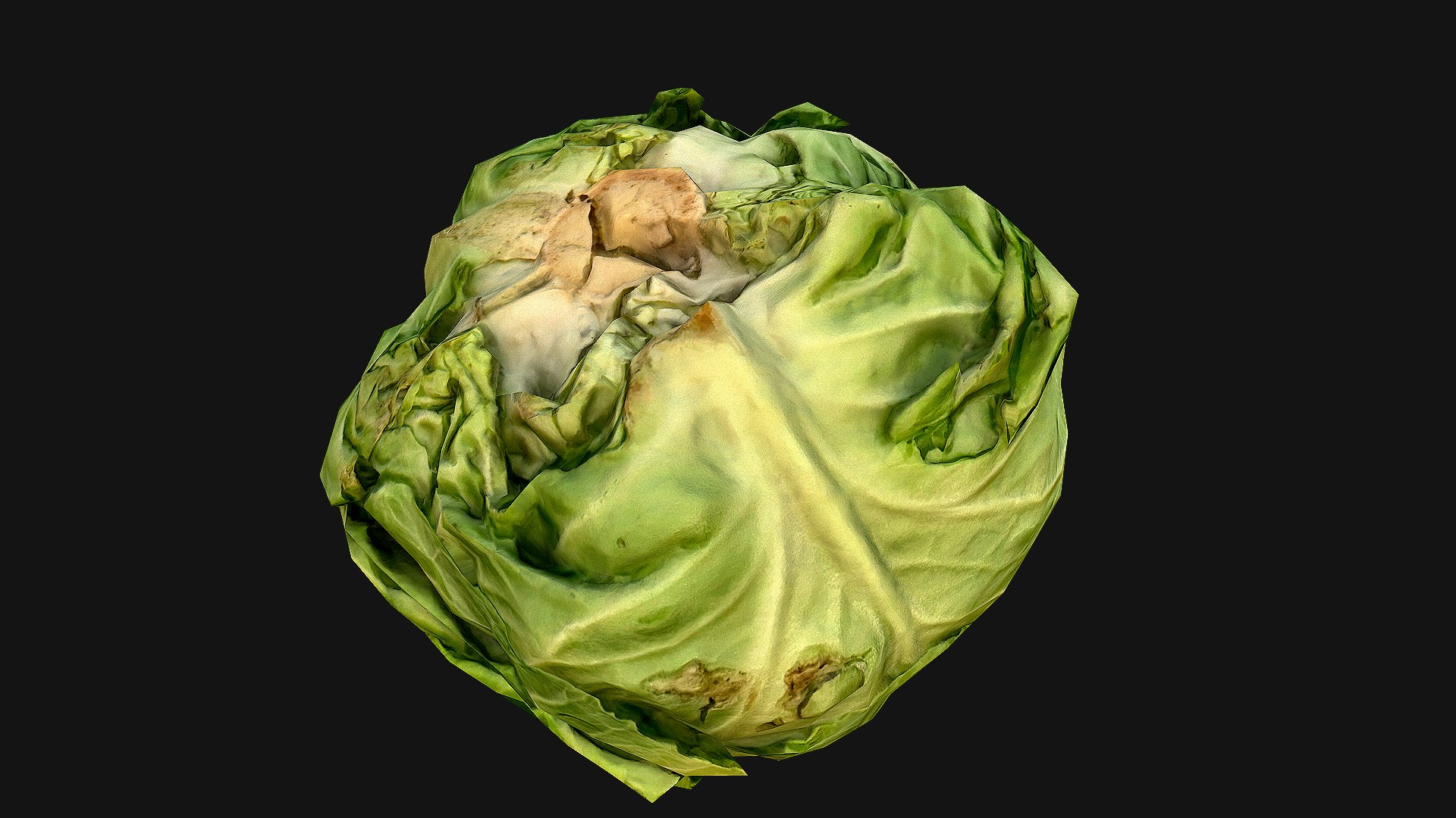 Cabbage 3D Model - TurboSquid 1924945