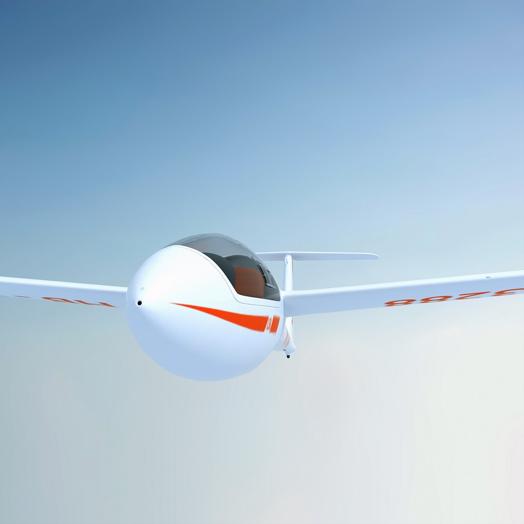 Rolladen-schneider Ls8 Glider 3d Model