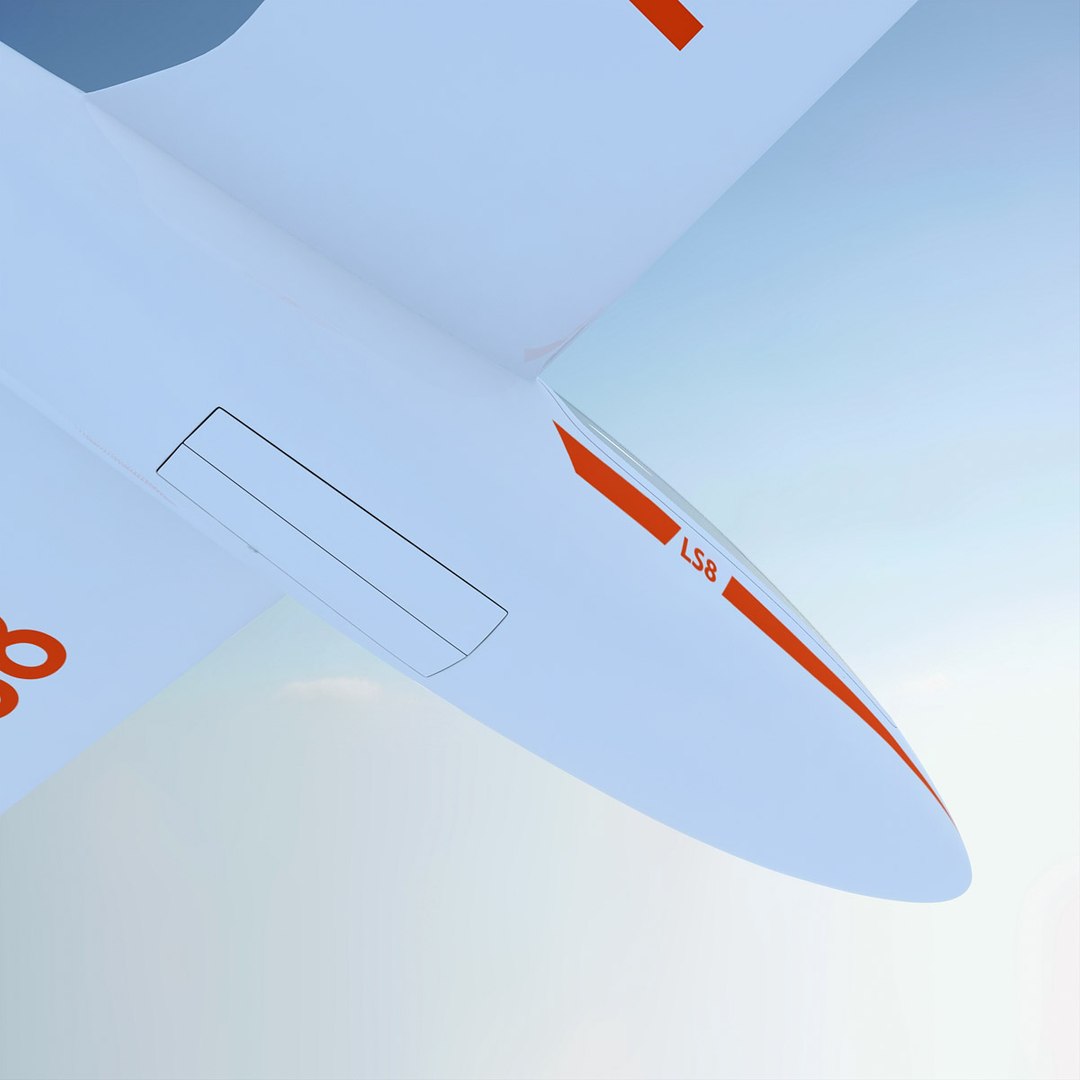 Rolladen-schneider Ls8 Glider 3d Model