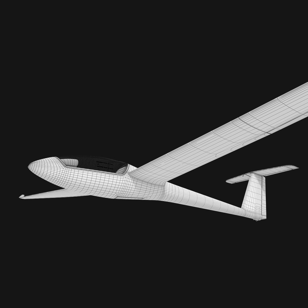 Rolladen-schneider Ls8 Glider 3d Model