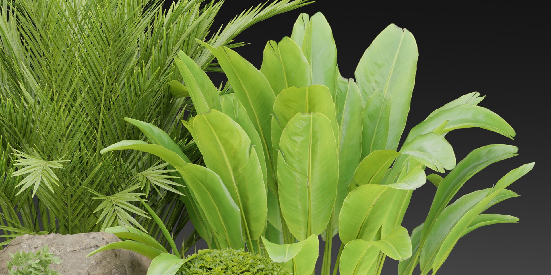 3D Outdoor Garden Plants Collection Vol 97-Blender - TurboSquid 2134637