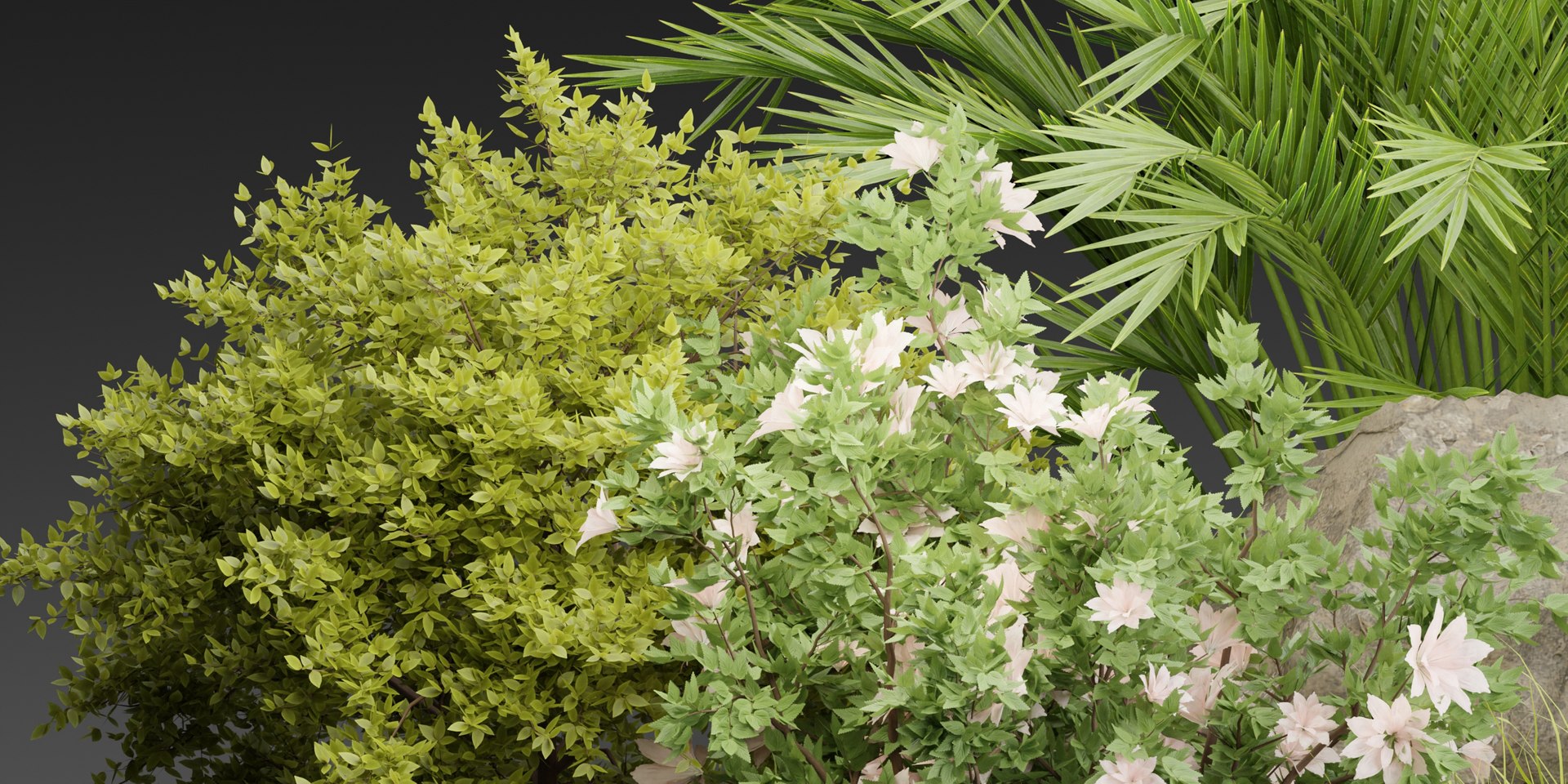 3D Outdoor Garden Plants Collection Vol 97-Blender - TurboSquid 2134637