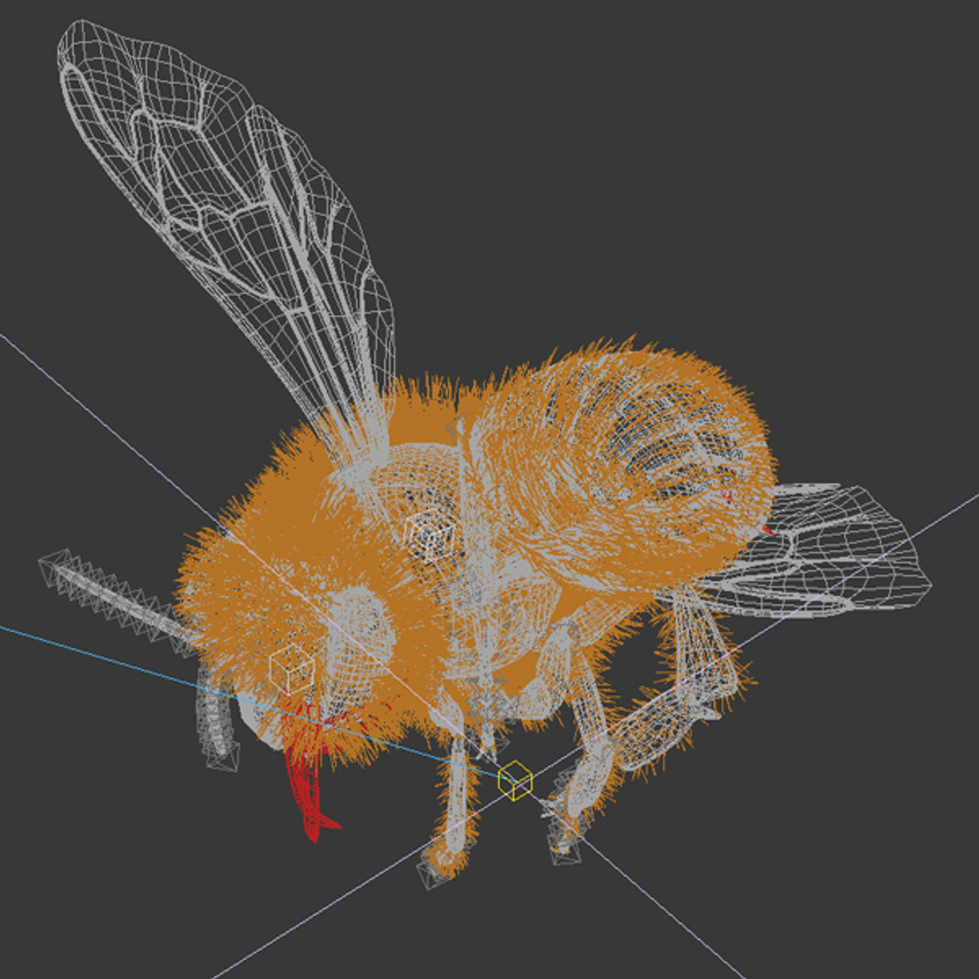 3d honey bee model