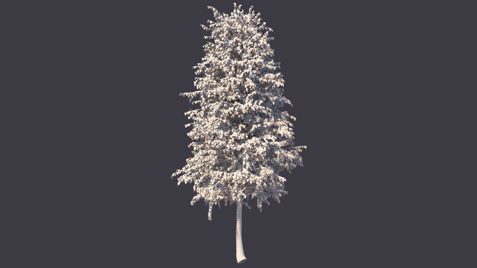 Birch Tree 3D Model - TurboSquid 1672904