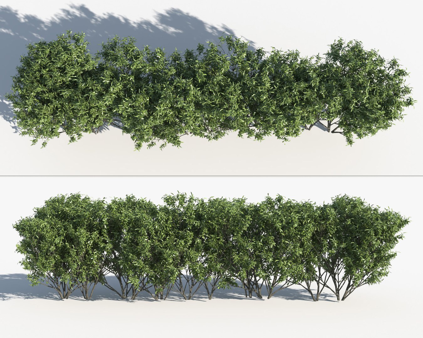 3D Shrub Hedges - TurboSquid 1152396