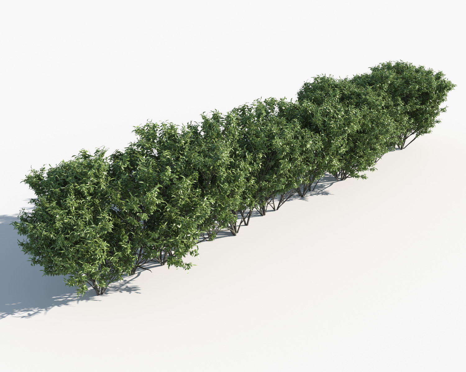 3D shrub hedges - TurboSquid 1152396