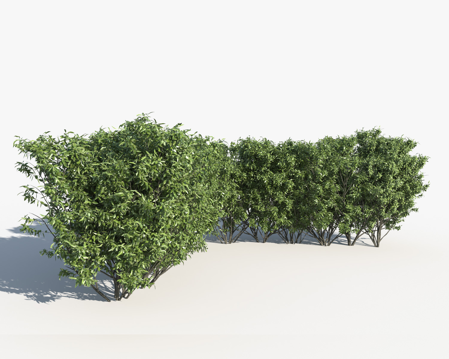 3D shrub hedges - TurboSquid 1152396