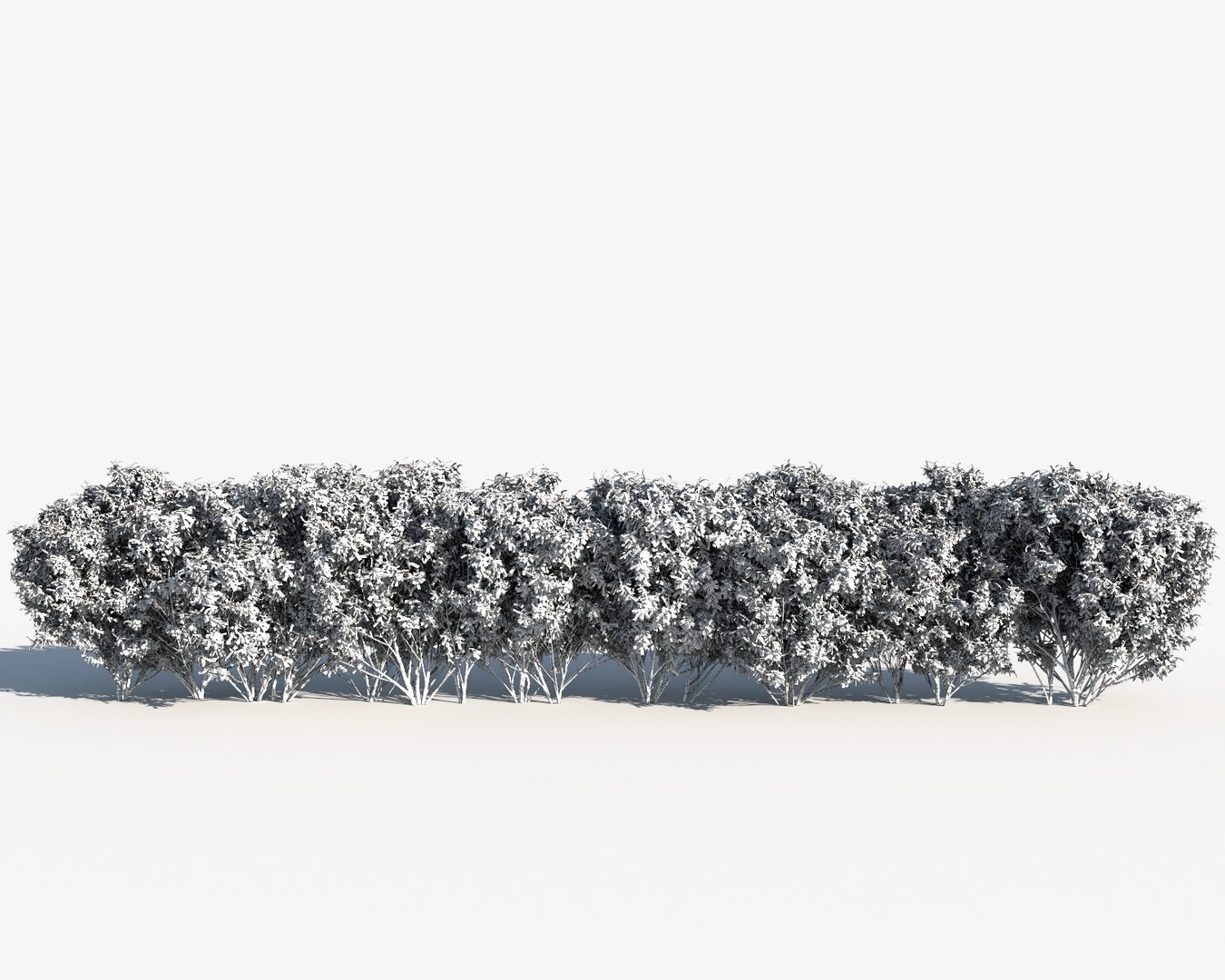 3D Shrub Hedges - TurboSquid 1152396