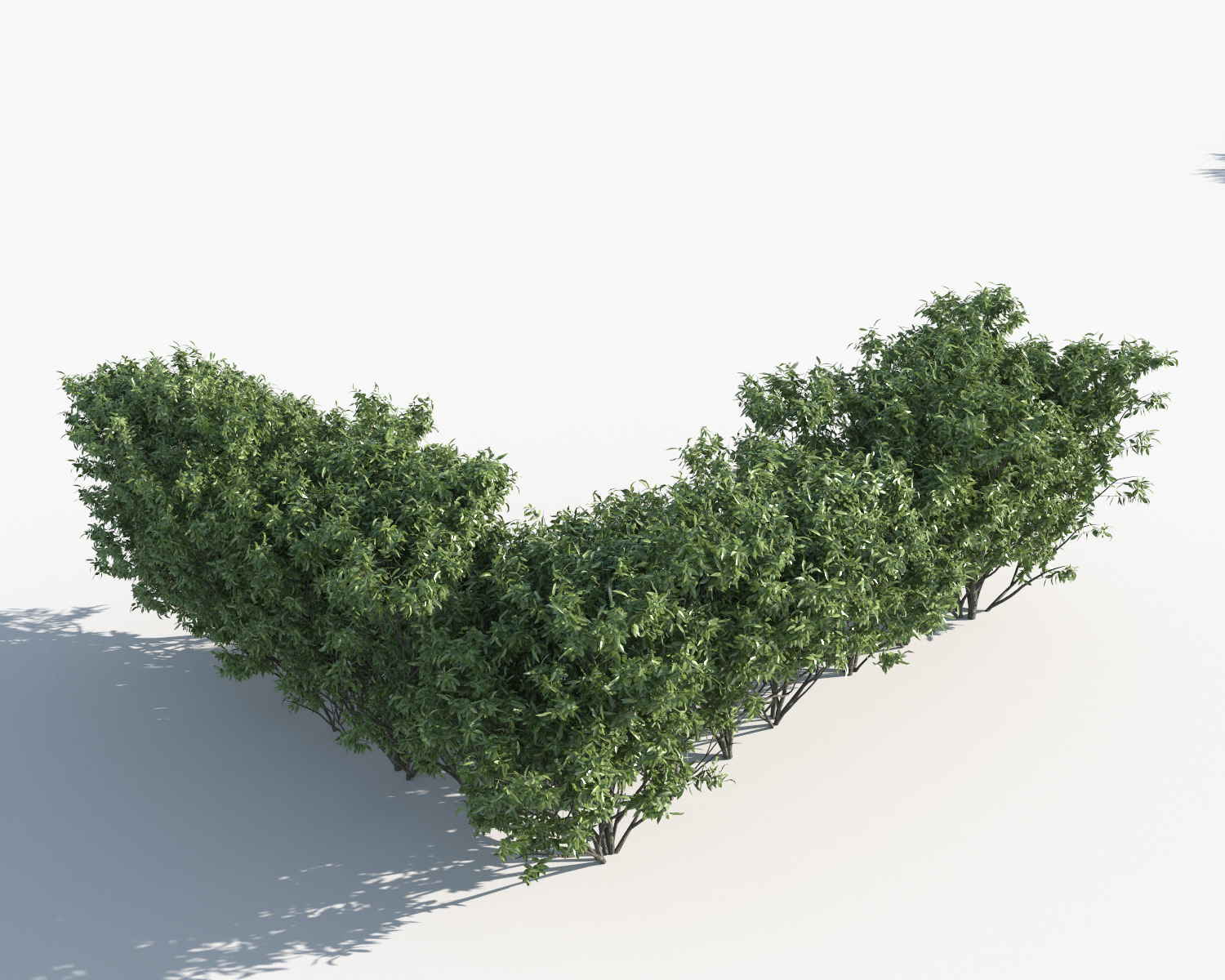 3D shrub hedges - TurboSquid 1152396