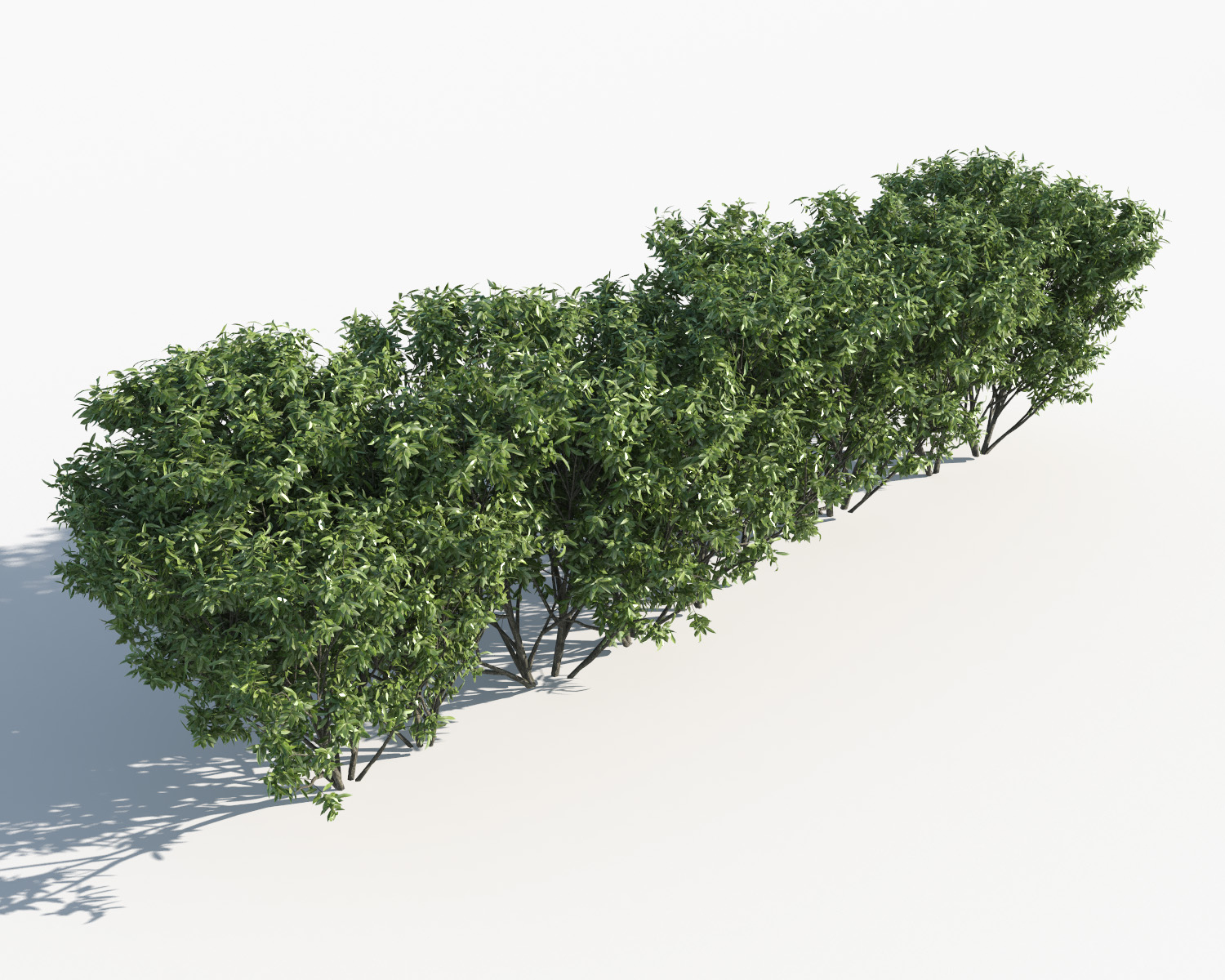 3D shrub hedges - TurboSquid 1152396