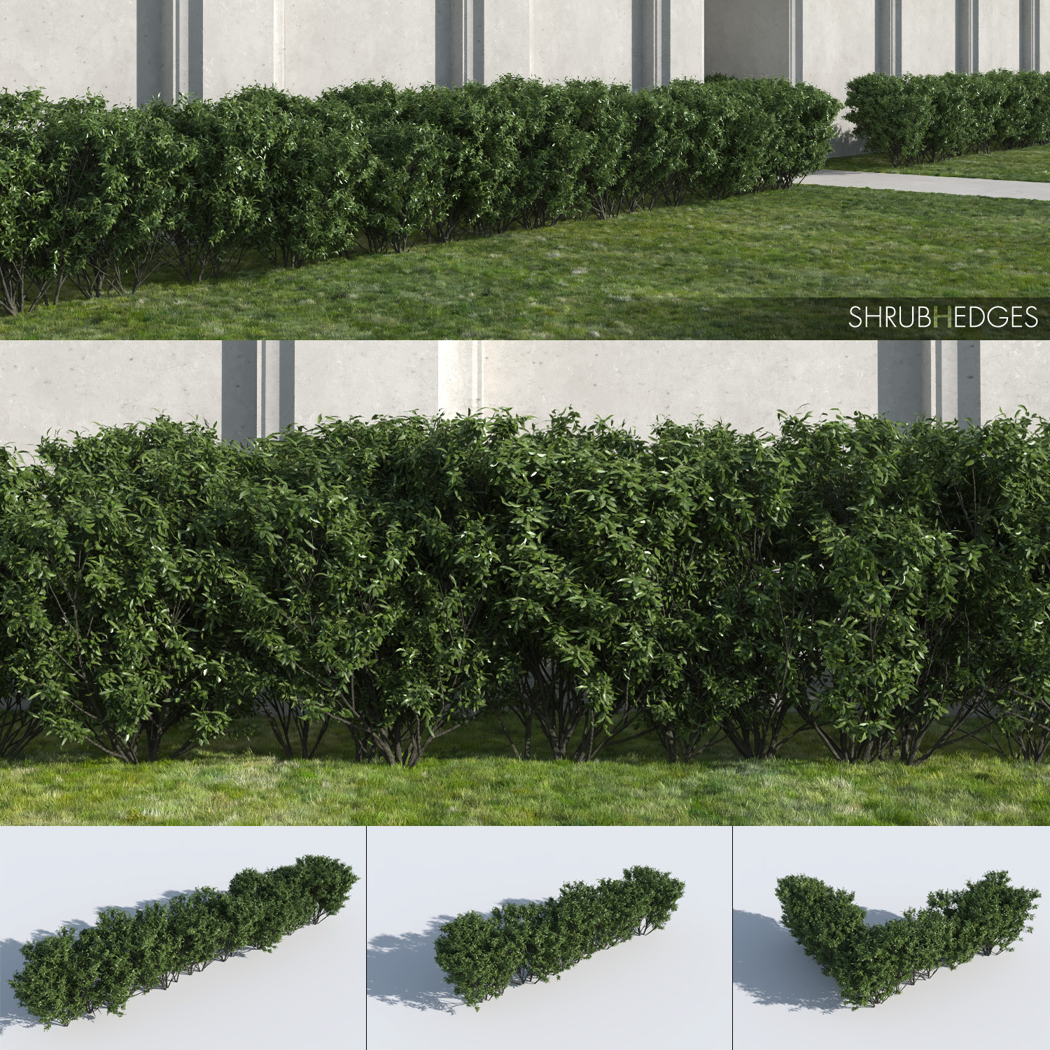 3D shrub hedges - TurboSquid 1152396