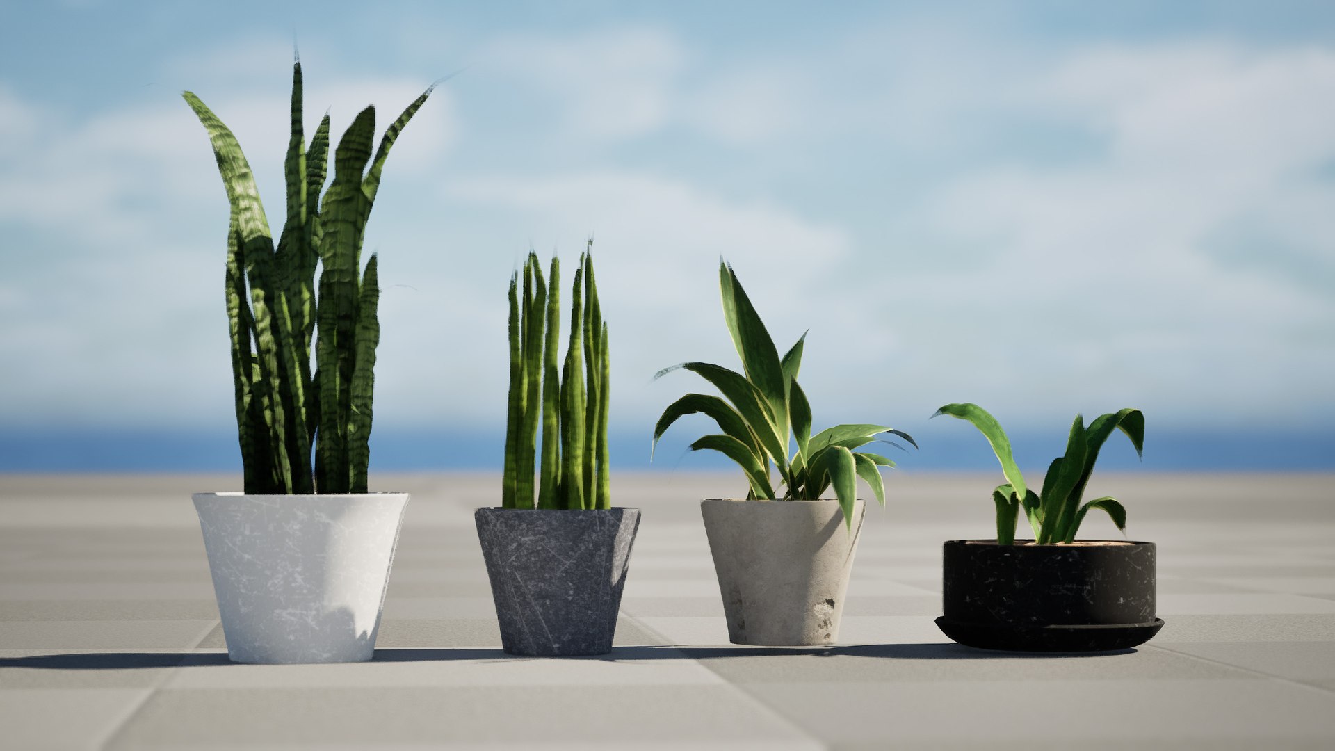 3D Snake Plant 3D Model For Indoor Scenes Model - TurboSquid 2254397