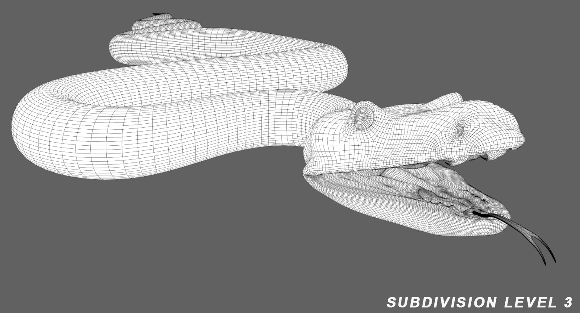 Rigged Snake 3D Model - TurboSquid 1233731