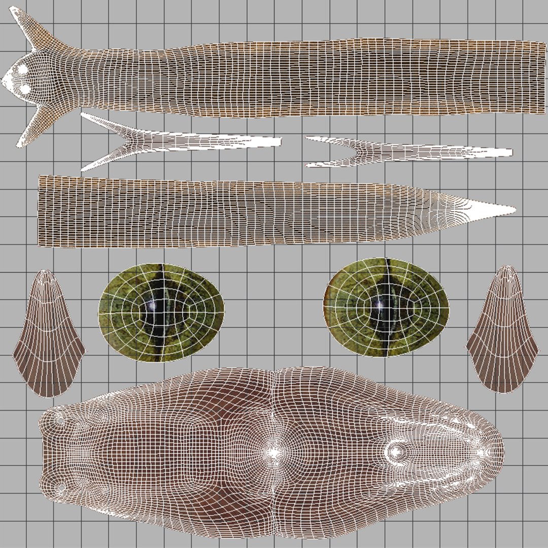 Rigged Snake 3D Model - TurboSquid 1233731