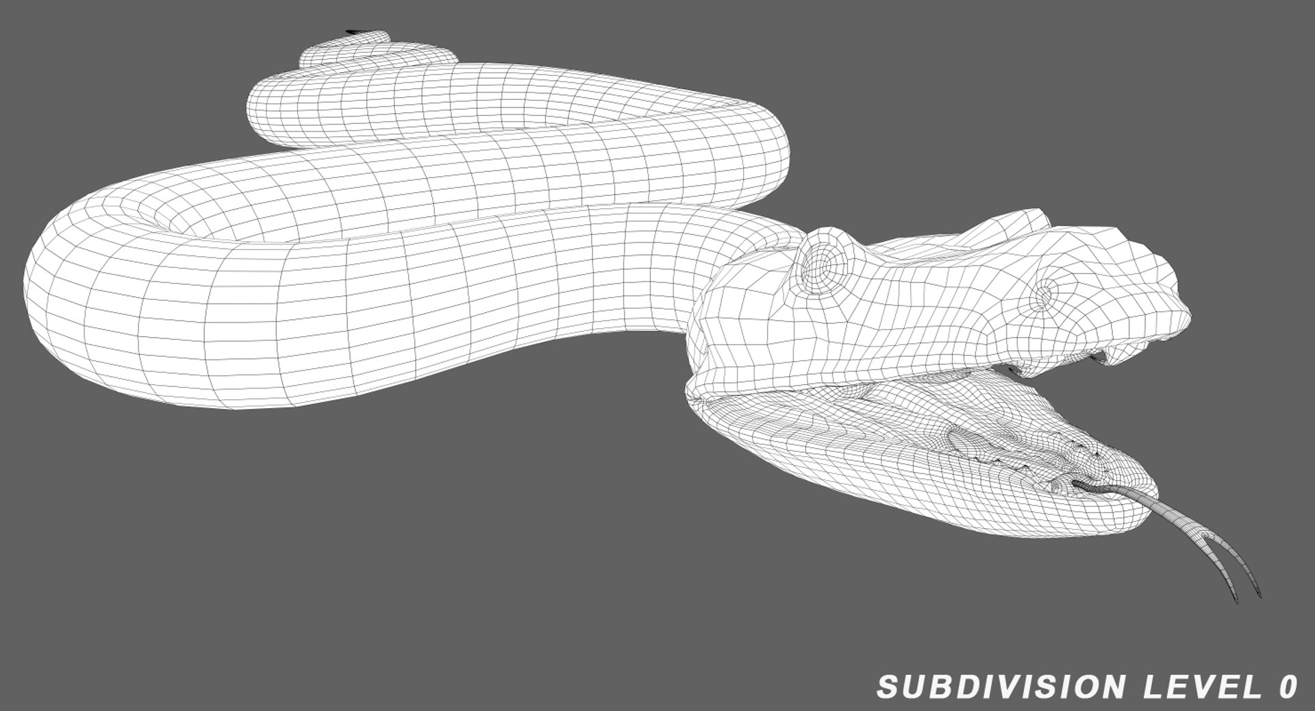 Rigged Snake 3D Model - TurboSquid 1233731
