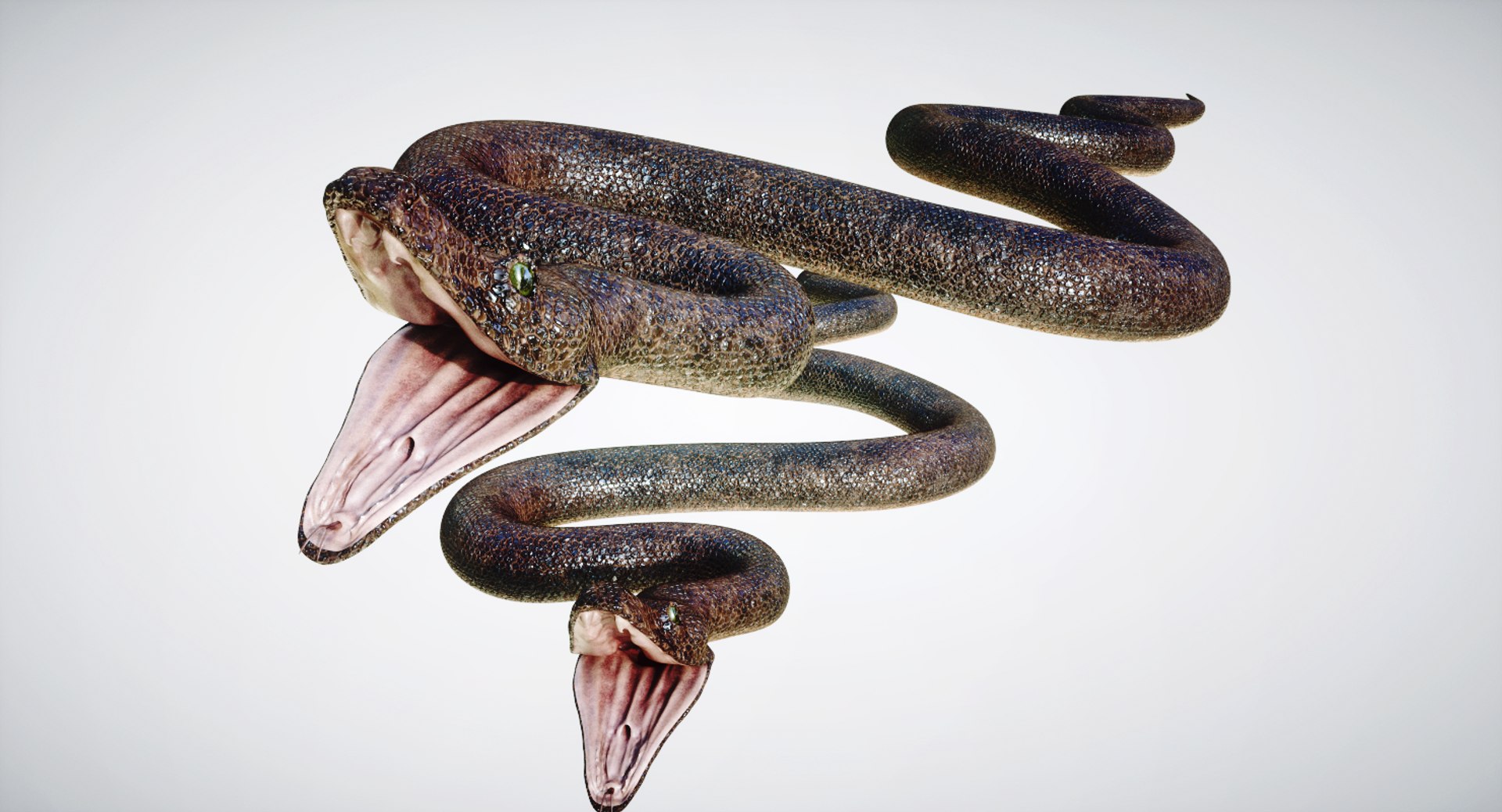 Rigged Snake 3D Model - TurboSquid 1233731