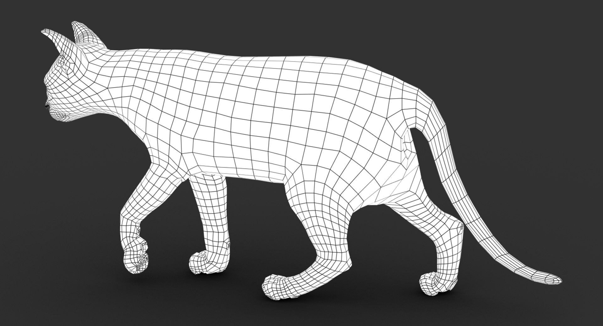 Cat rigged fur 2 3D model - TurboSquid 1305316