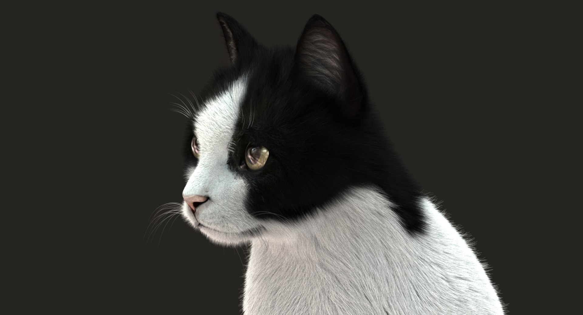 Cat Rigged Fur 2 3D Model - TurboSquid 1305316
