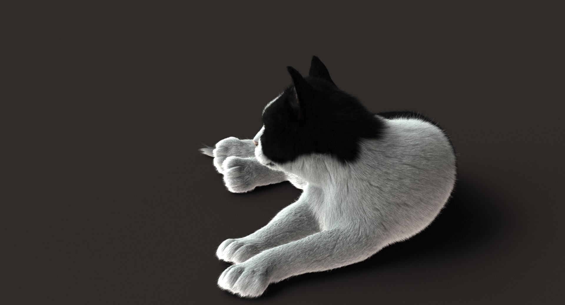 Cat Rigged Fur 2 3D Model - TurboSquid 1305316