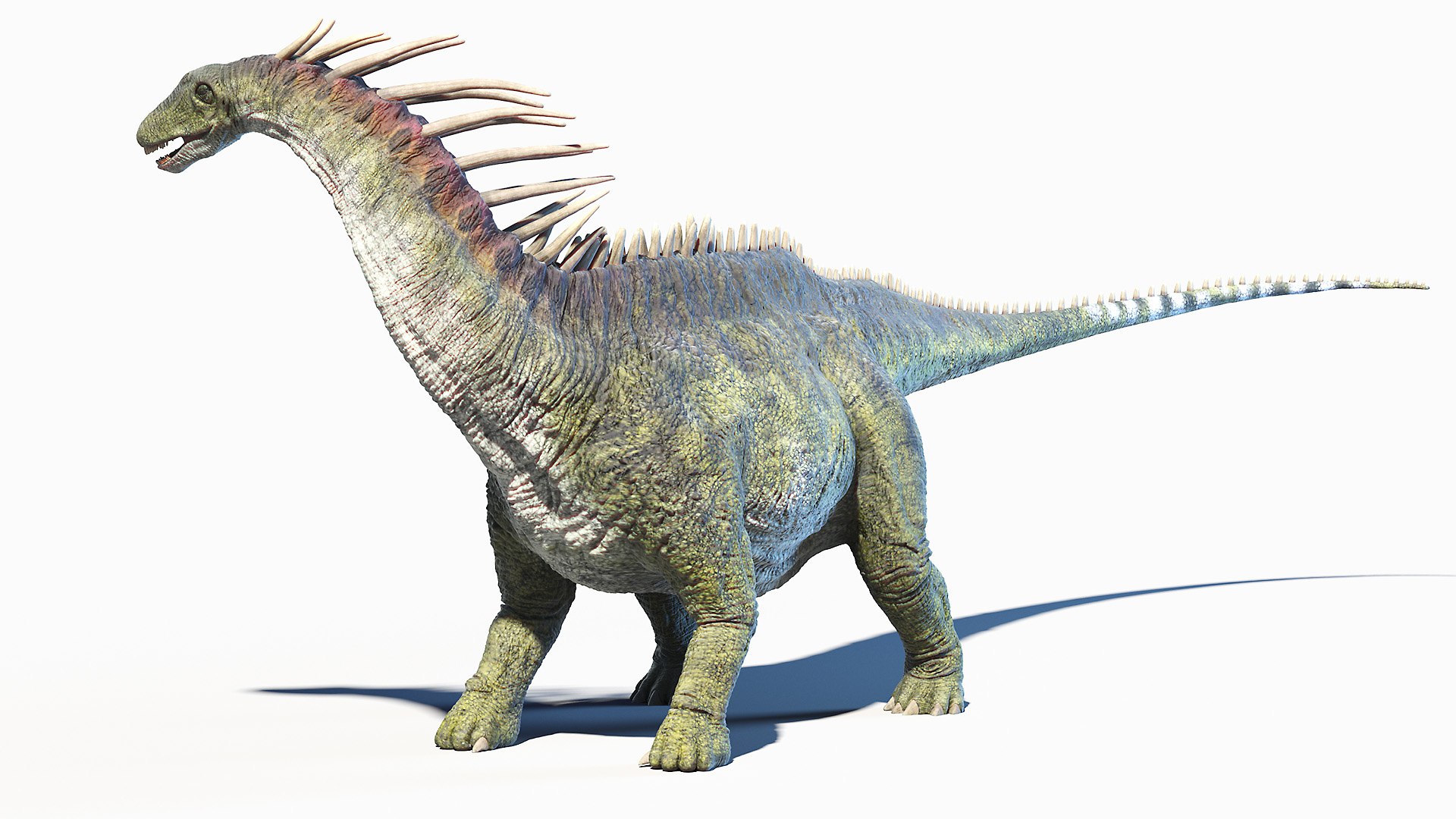 Amargasaurus 3D - TurboSquid 1658975