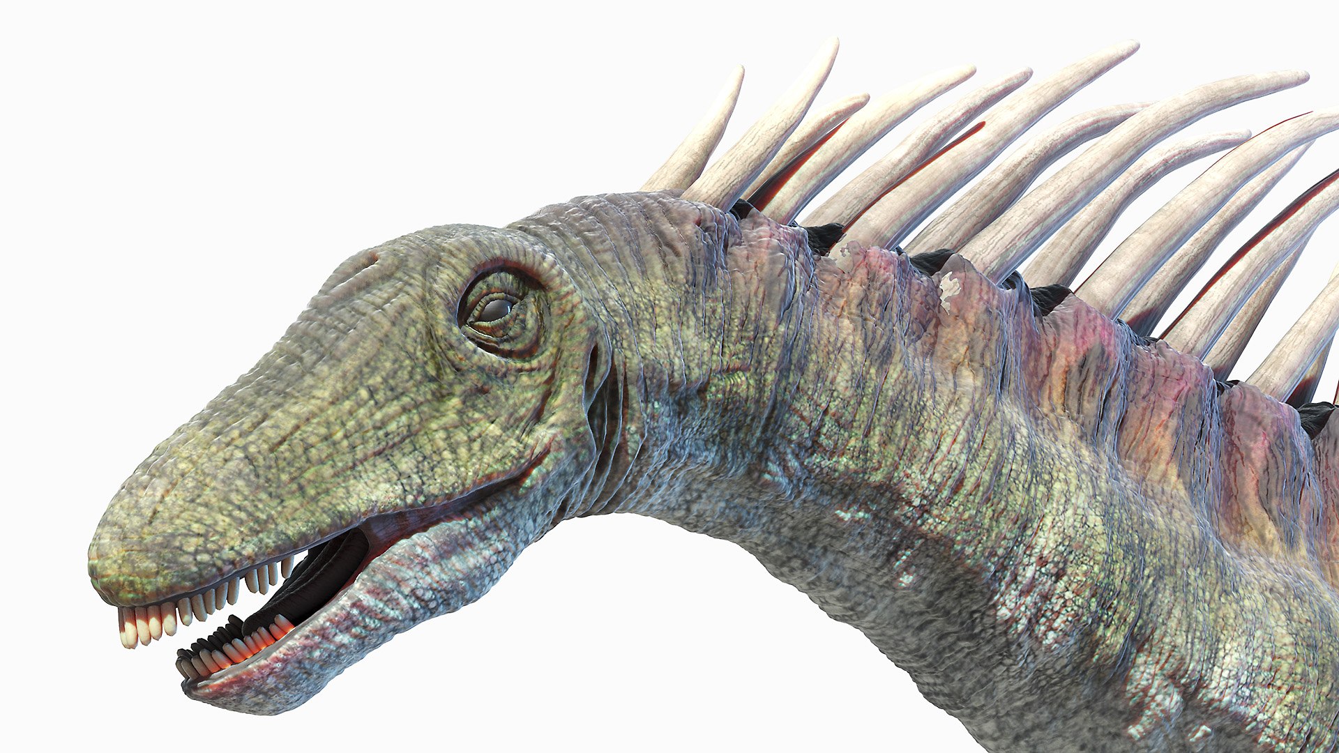 Amargasaurus 3D - TurboSquid 1658975