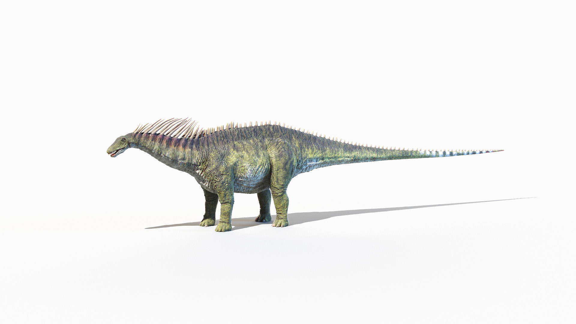 Amargasaurus Size