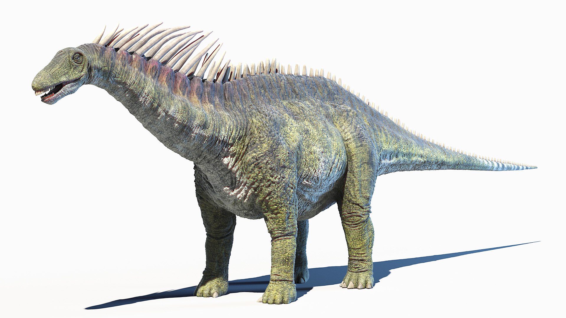 Amargasaurus 3D - TurboSquid 1658975